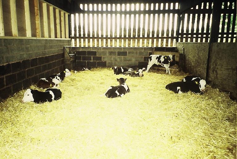 NADIS - National Animal Disease Information Service