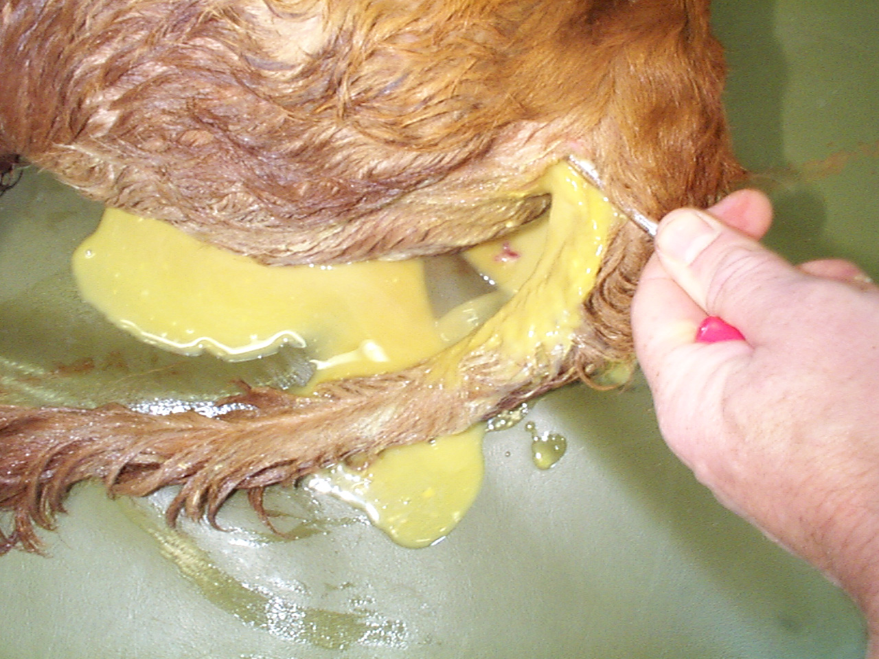 NADIS - National Animal Disease Information Service
